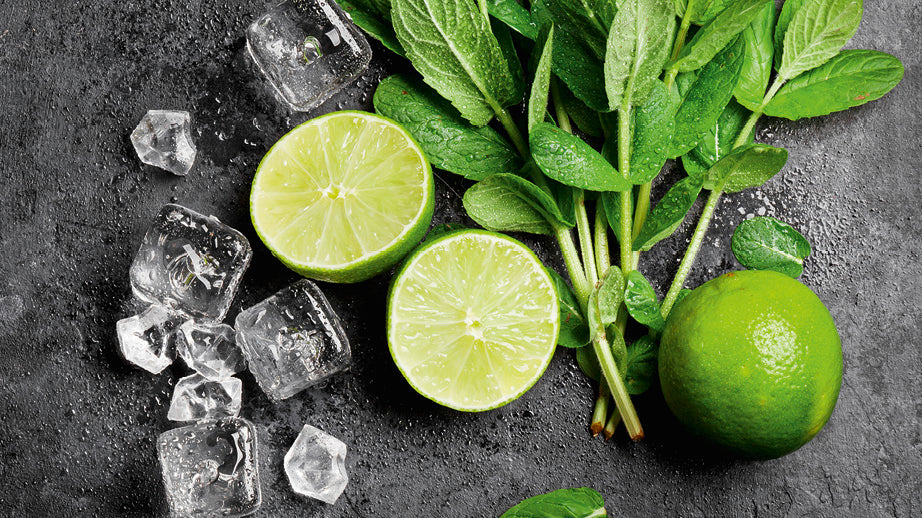 Was ist Minze? - Wajos Produktlexikon zu den Minzen.